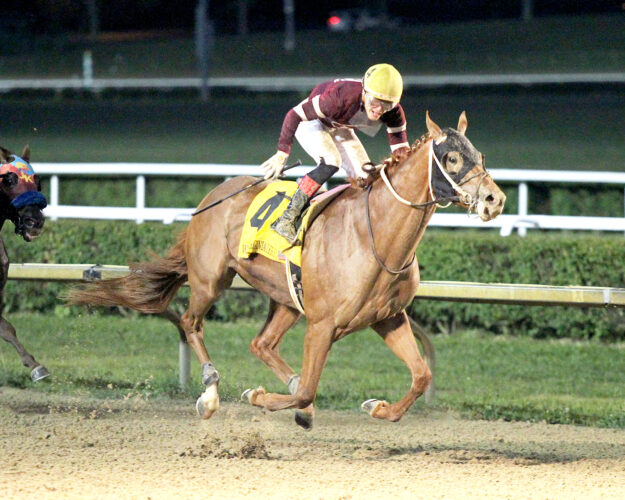 Red Route One rallies to win the West Virginia Derby | News, Sports ...
